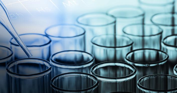 Innovative technologies - Aqua feed | pet food | livestock sector - PLP ...